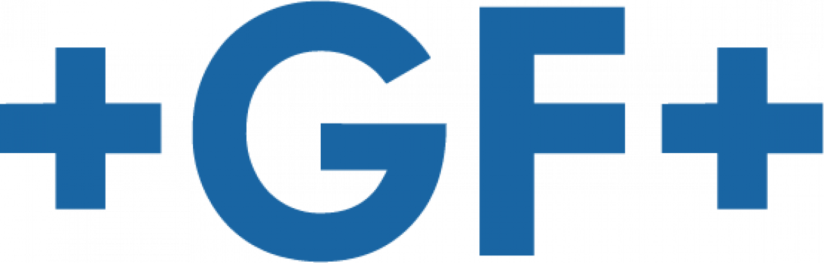 Interview with Georg Fischer: Simon Cruickshank, Business Systems ...